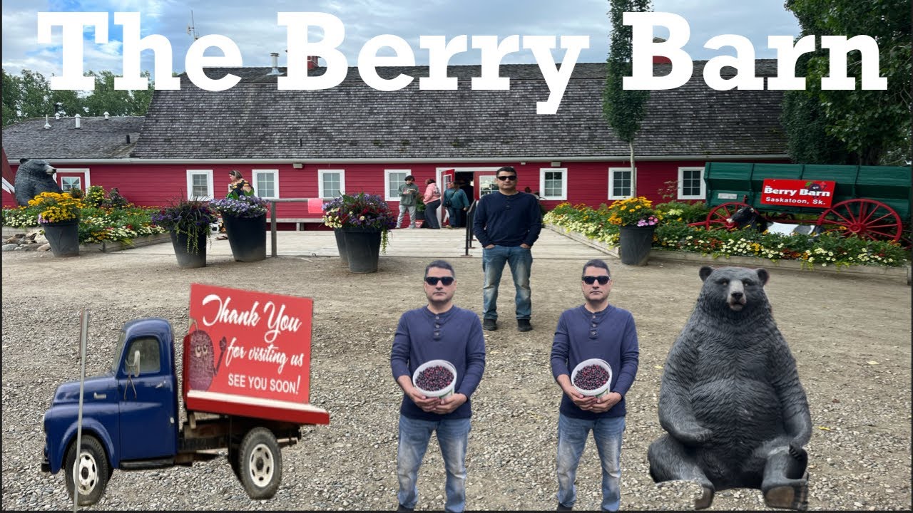 Berry picking And Having Fun At The Berry Barn Saskatoon Saskatchewan ...