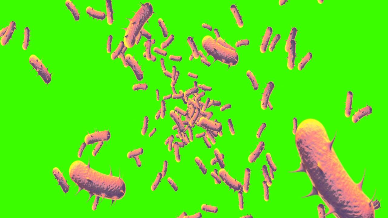 FREE HD Green Screen 3D VIRUS CELLS Pouring into Camera - YouTube