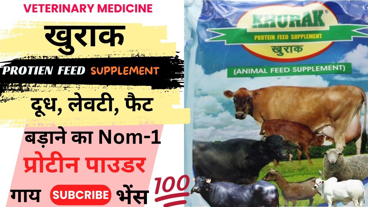 Khurak खुराक पाउडर खिलाओ दूध 10 गुना कर लो। खुराक पाउडर देने का सही ...