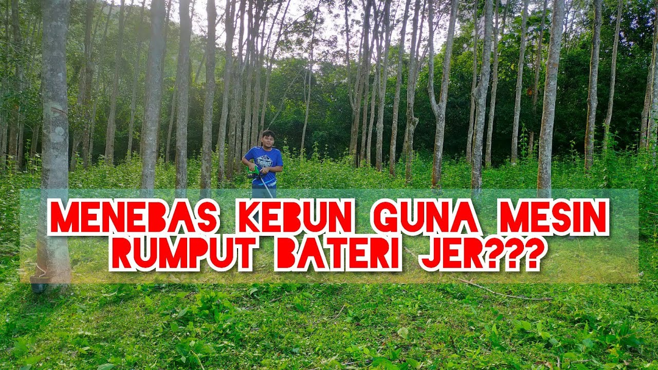 Menebas Kebun Guna Mesin Rumput Bateri Je! | Cordless Grass Trimmer ...