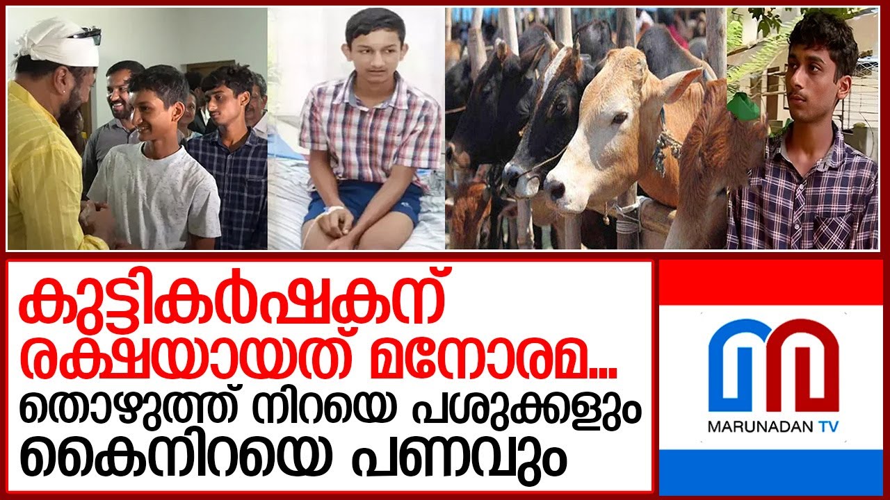 ആ കുട്ടികർഷകന്റെ തൊഴുത്ത് നിറയെ പശുക്കൾ I Mathew Benny Cow - YouTube