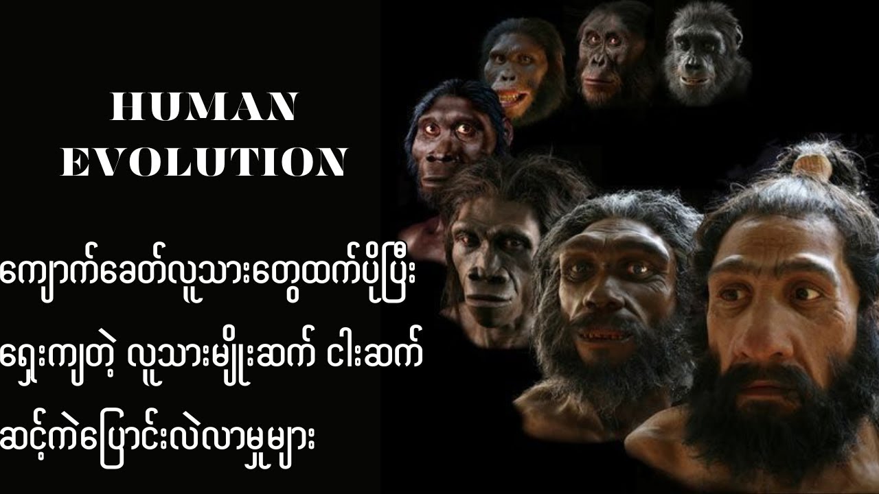 ဆင့်ကဲပြောင်းလဲလာတဲ့ လူသားတို့ရဲ့ ဖြစ်တည်မှုသမိုင်း / Evolution Of ...