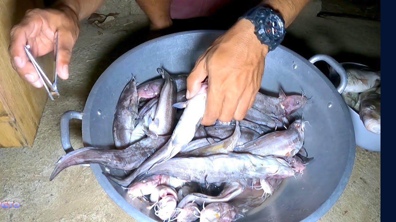 vlog431- Spot na Maraming Isdang Kanuping at Hito Natagpuan Part 2 ...