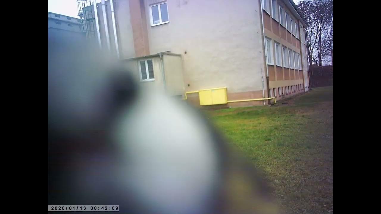 фото пастка - YouTube