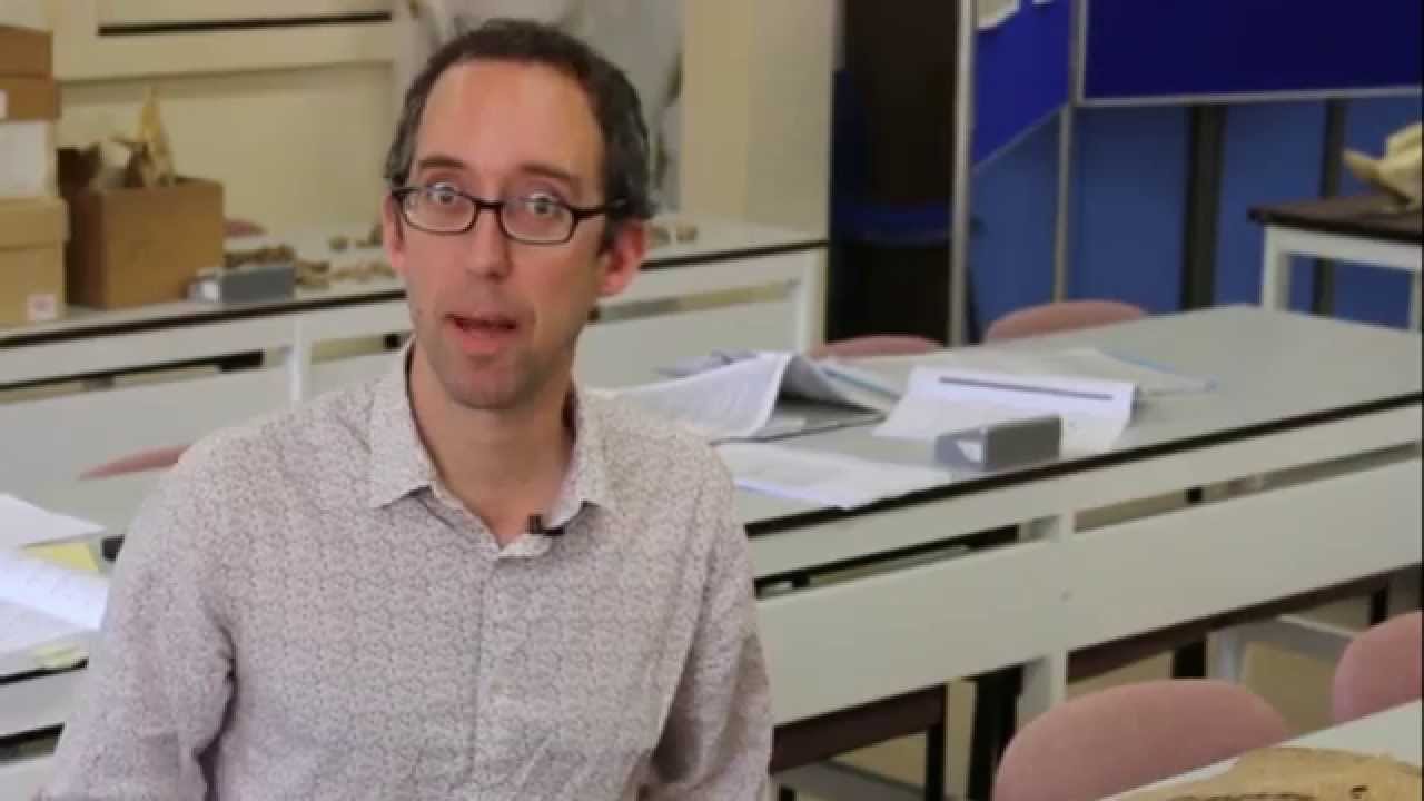 Artefact of the month: Dr Robin Bendrey presents... - YouTube