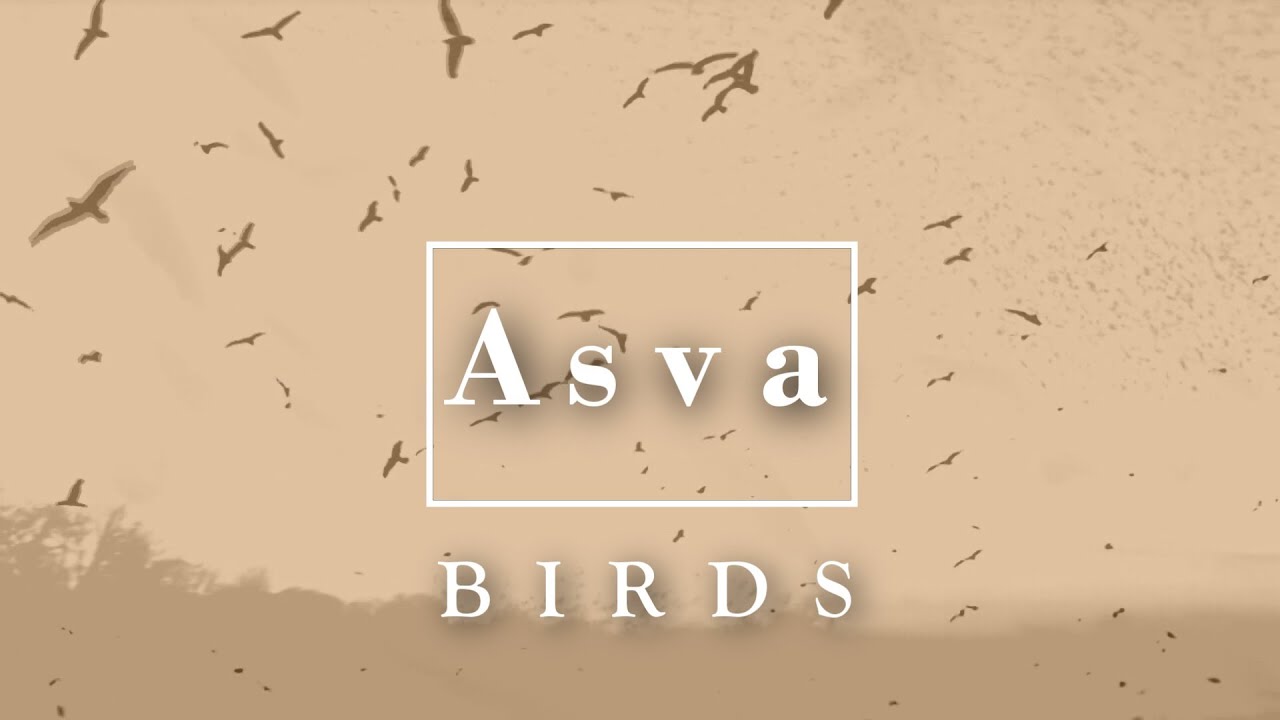 ASVA - Birds (OFFICIAL) - YouTube
