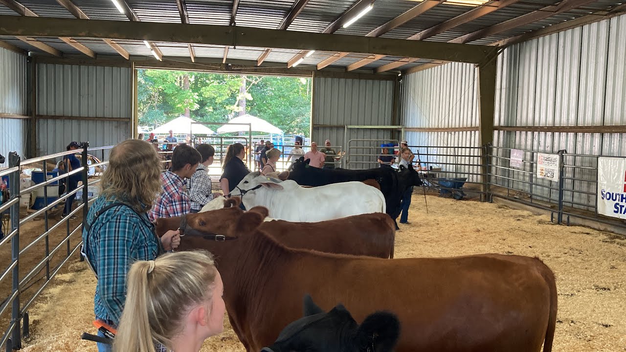 2023 Randolph Co Cooperative Extension 4H Show - YouTube