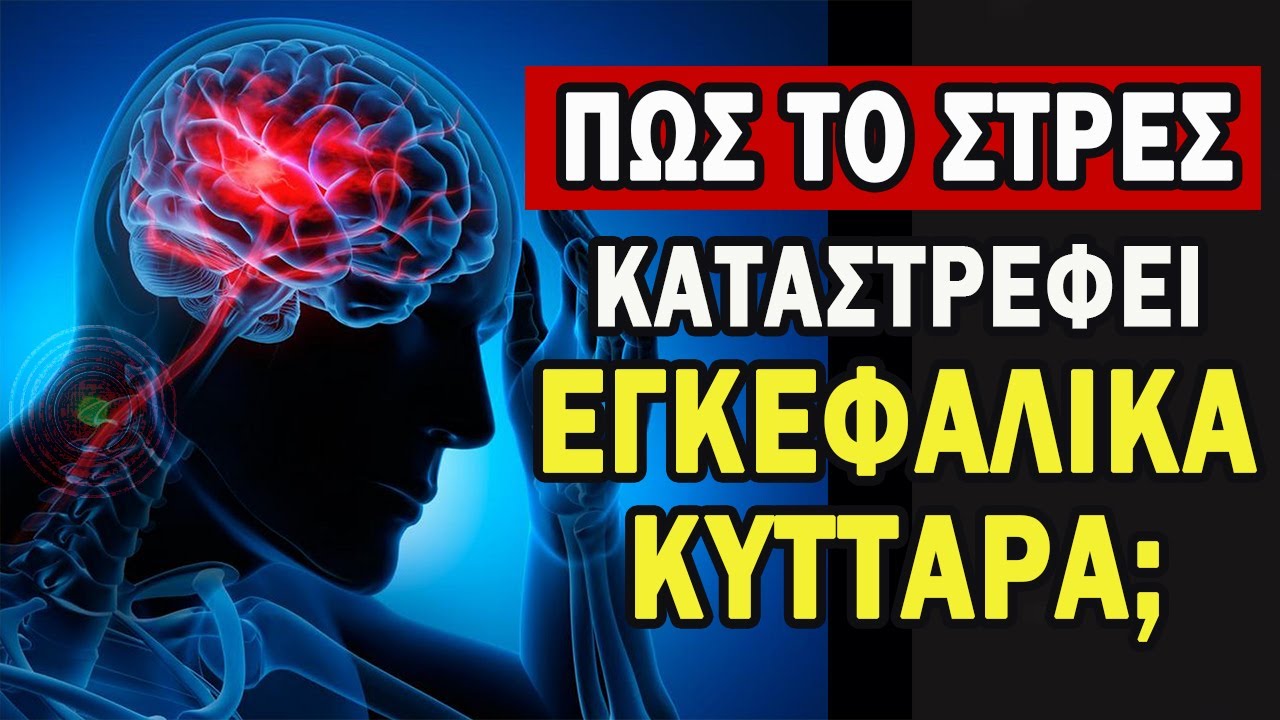 Πως Το Στρες Προκαλεί Βλάβη Στα Εγκεφαλικά Κύτταρα; | Ακαδημία Υγείας ...
