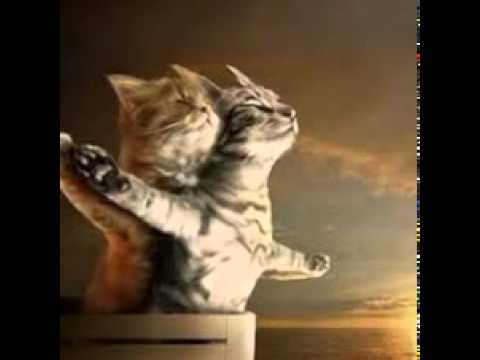 romantik aşk adlı videonun kopyası