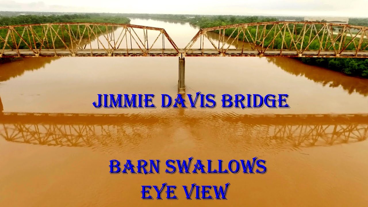 Barn Swallows eye view of the Jimmie Davis Bridge ( extended version ...