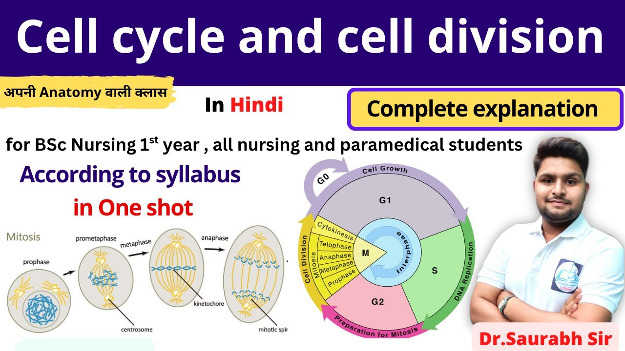 cell division || Cell cycle || mitosis| meiosis | BSc nursing 1st year ...