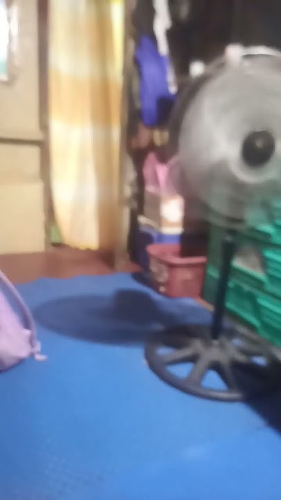 wheres the cat😺👏 - YouTube