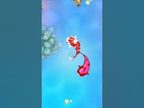 I hope I get the rare Koi from these two! - Zen Koi 2 - YouTube