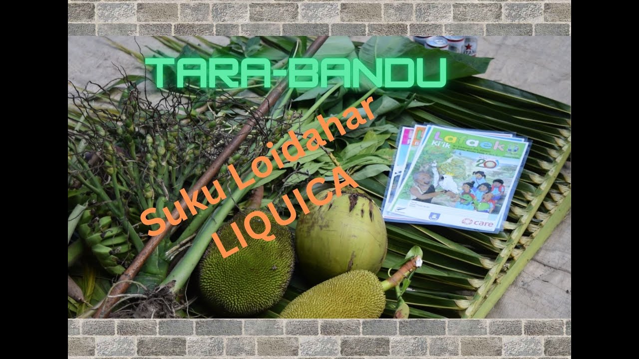 Tarabandu iha Suku Loidahar, Liquica - YouTube