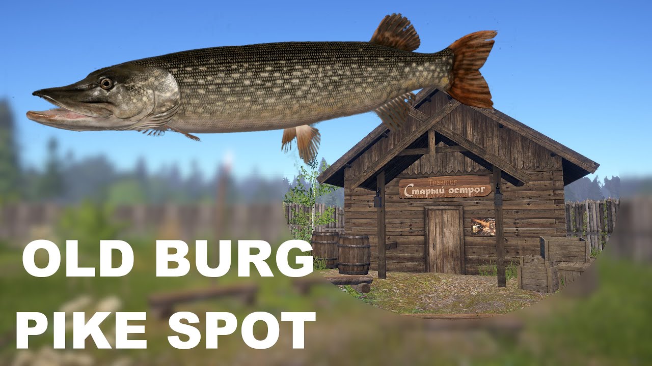 Russian Fishing 4 | Old Burg Pike Szczupak | RF4 SPOT #206 - YouTube