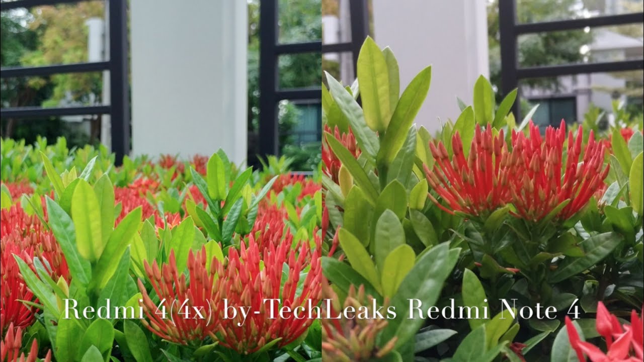 XIAOMI REDMI NOTE 4 VS XIAOMI REDMI 4(4X) STEADY SHOTS TEST - YouTube