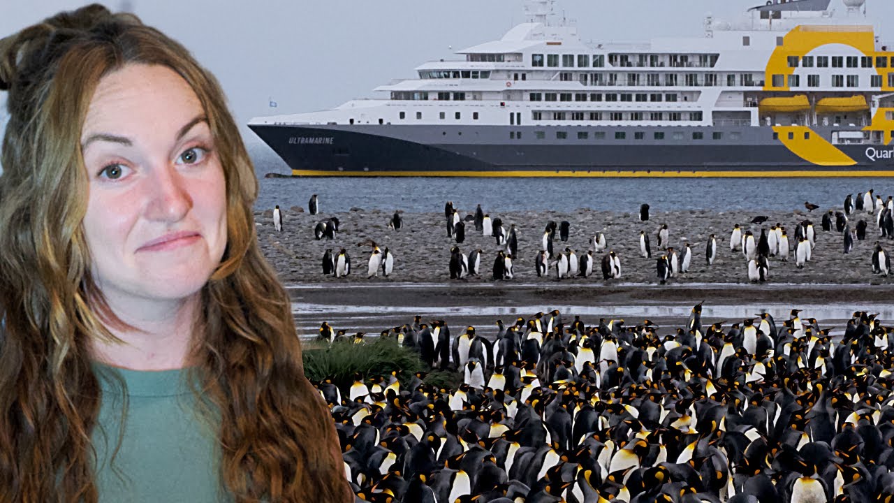 From Shackleton's Legacy to HUGE King Penguin Colonies: Exploring South ...