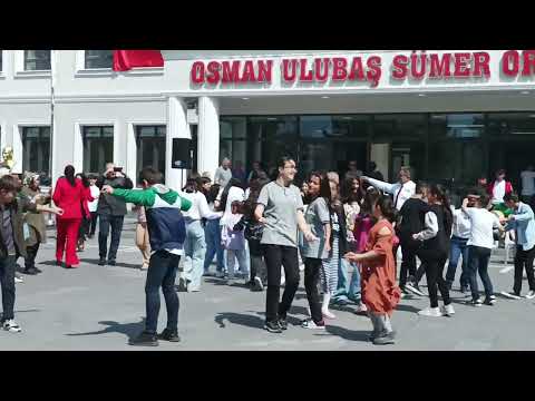 19 Mayıs.Erik Dalı