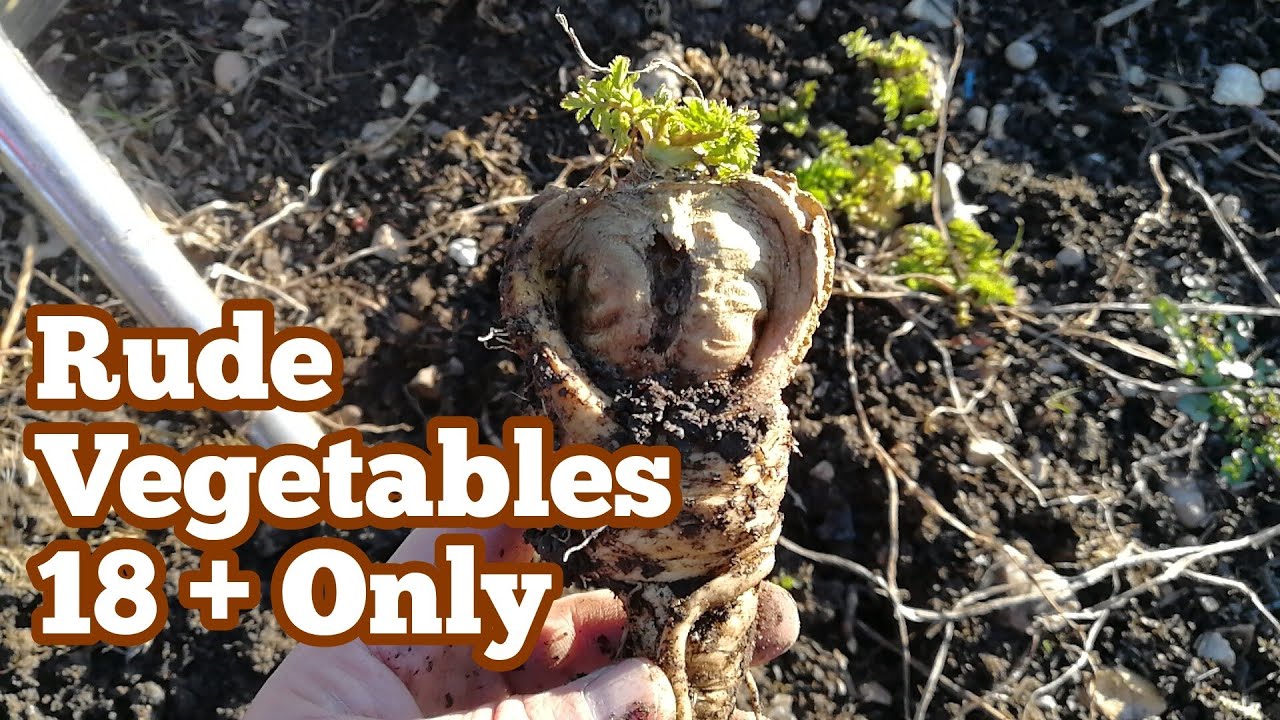 Rude Vegetables 18+ Only - YouTube