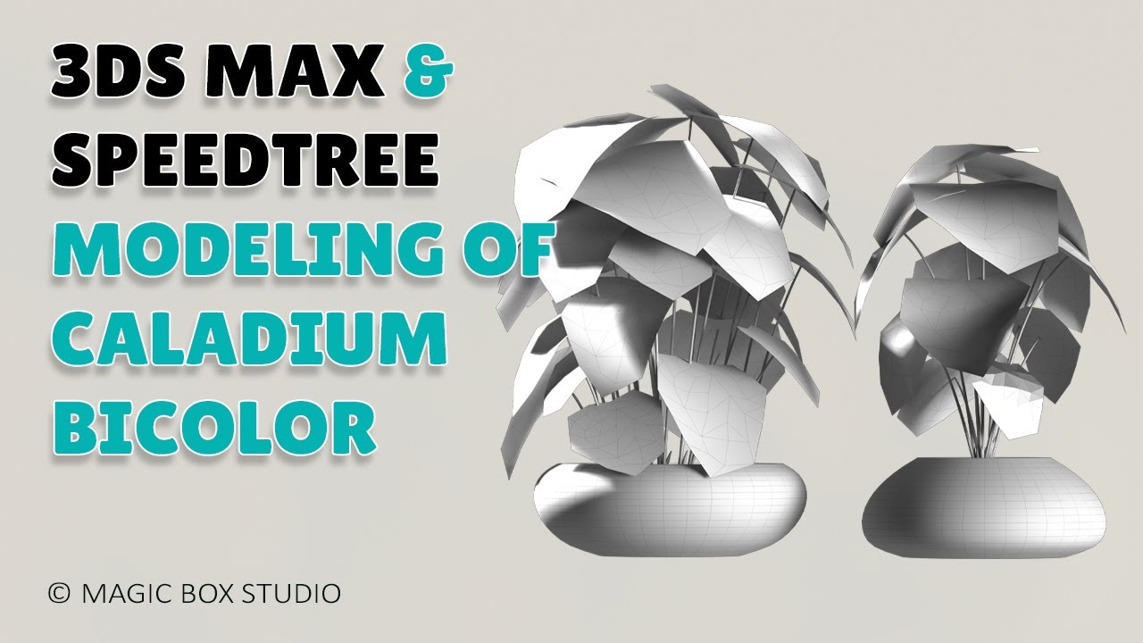 3ds max&speedtree Caladium bicolor modeling ǀ Part I - YouTube
