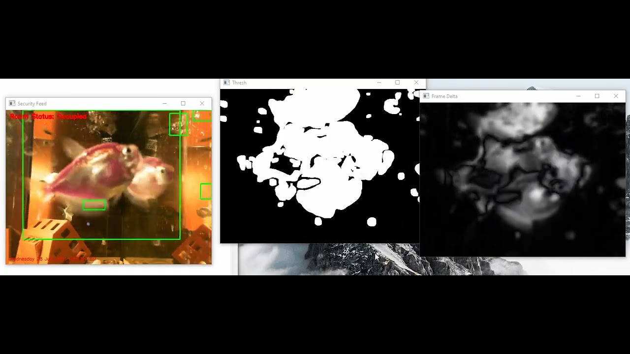 Detection fish in aquarium(OpenCV C++) - YouTube