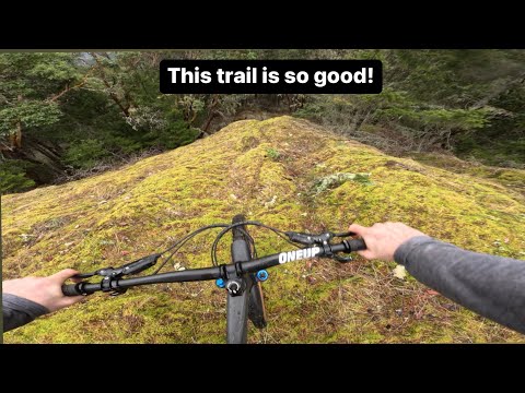 Flying Dutchman | Fresh Van Isle Double Black Trail!!