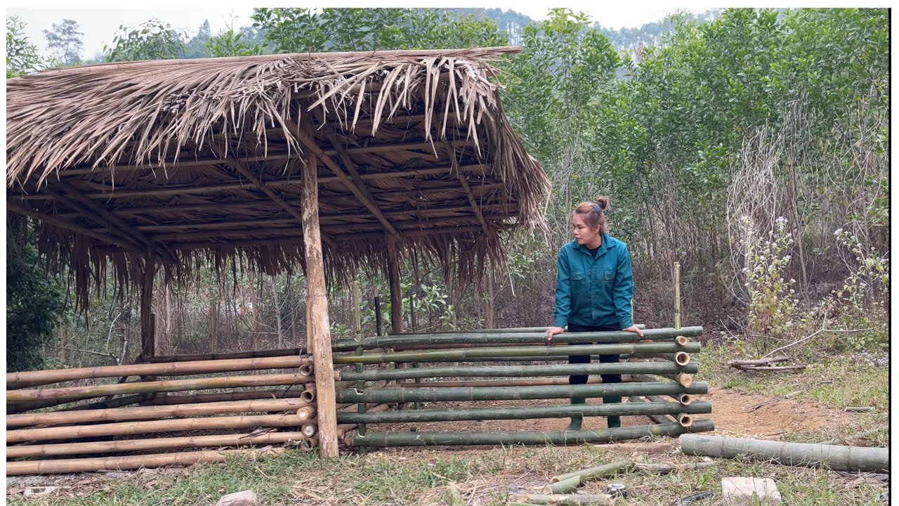 Making a Pig Barn with Bamboo: Cost Saving and Environmentally Friendly ...