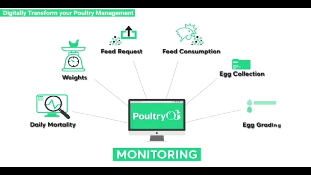 Digitally Transform your Poultry Managment - YouTube
