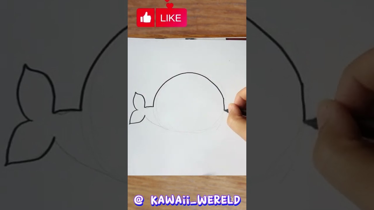 Hoe Teken Je Een Walvis