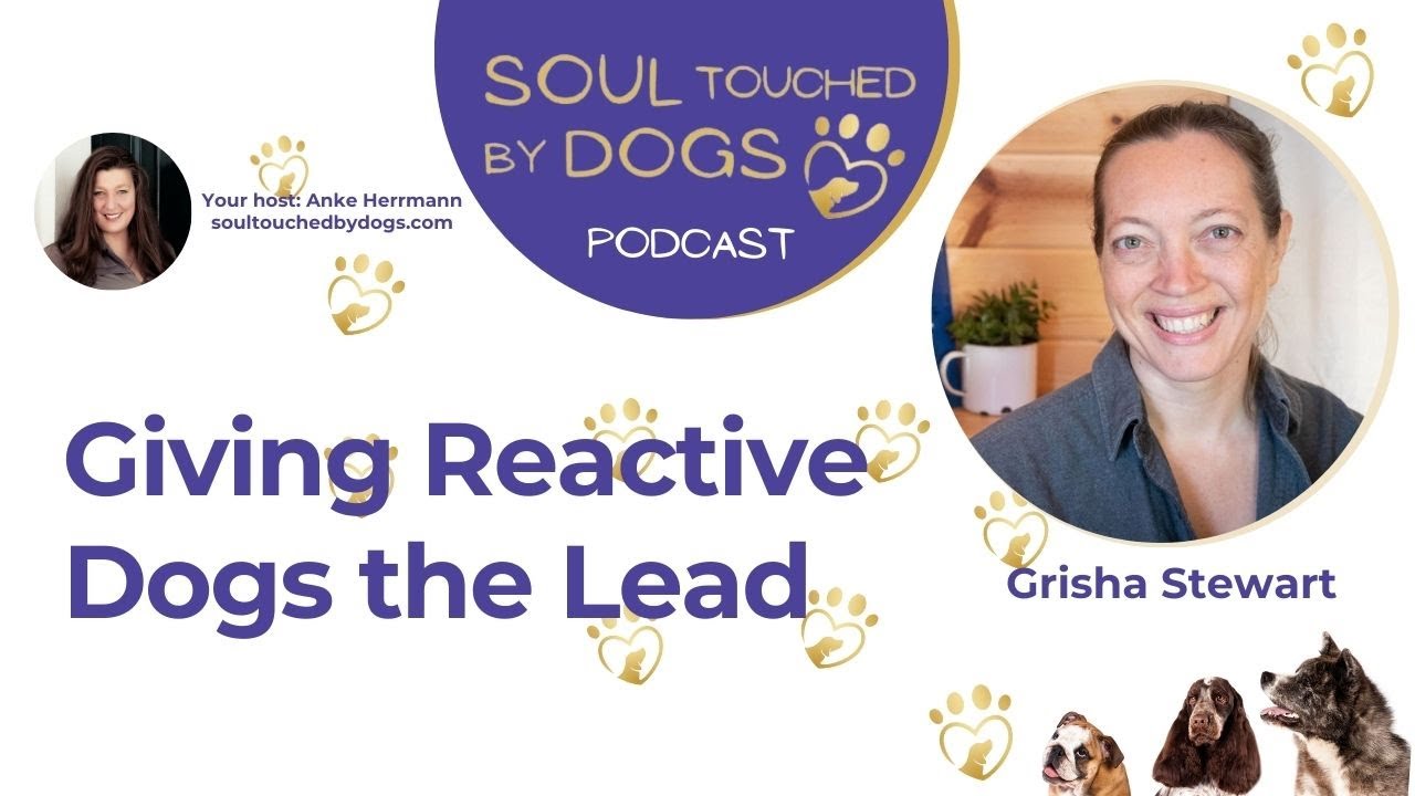 Grisha Stewart - Giving Reactive Dogs the Lead: How to Teach Social ...