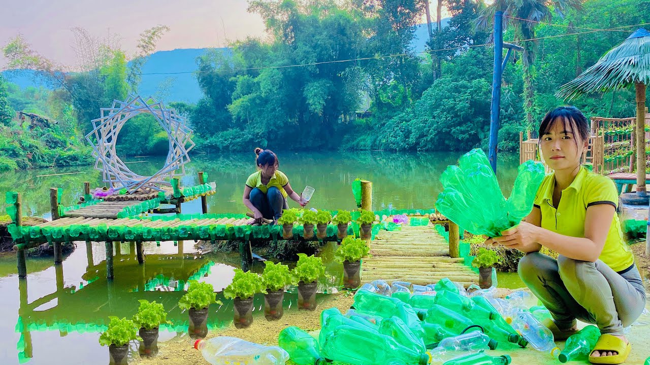 Turn plastic waste into a garden: grow vegetables in plastic bottles ...