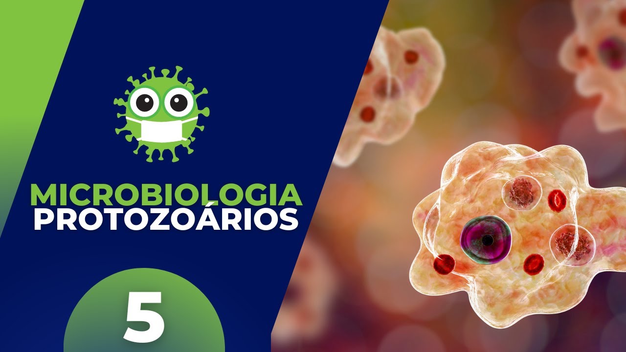 Curso Grátis Aprenda Tudo Sobre Protozoários: Importância ...
