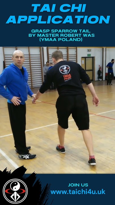 Tai Chi Application - Grasp Sparrow Tail - YMAA - YouTube