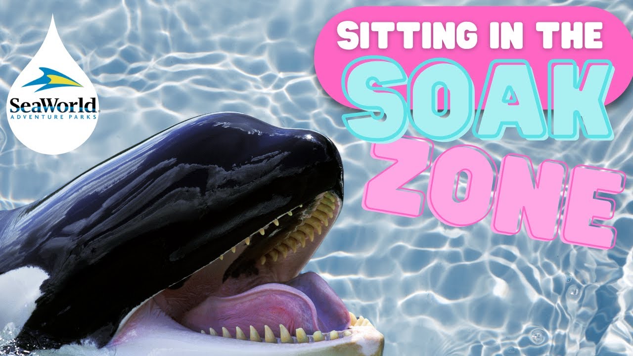 The Wettest and Wildest Ride at SeaWorld: Sitting in the Soak Zone ...