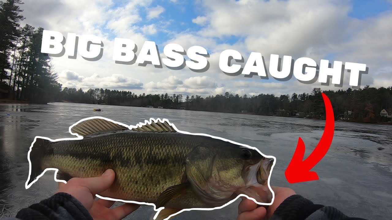 These Two BIG Bass Weighed the Same! - Ice Fishing MA - YouTube