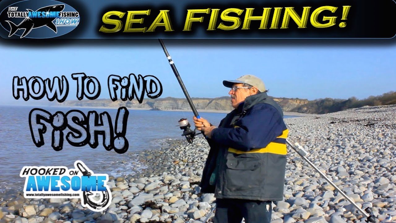Beach Fishing | How to find fish! - TAFishing - YouTube