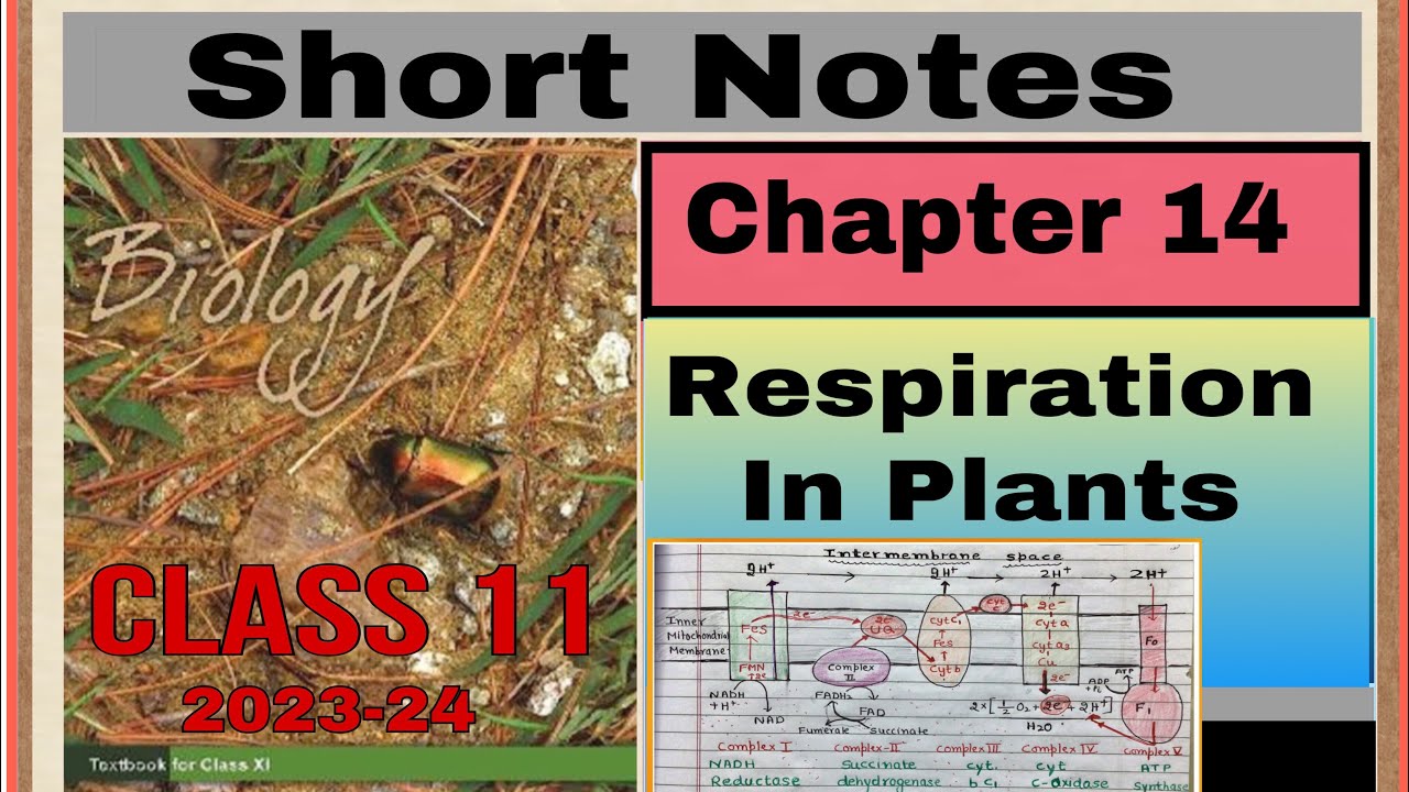 Short Notes — Respiration In Plants/ Chapter 14/ hand written short ...