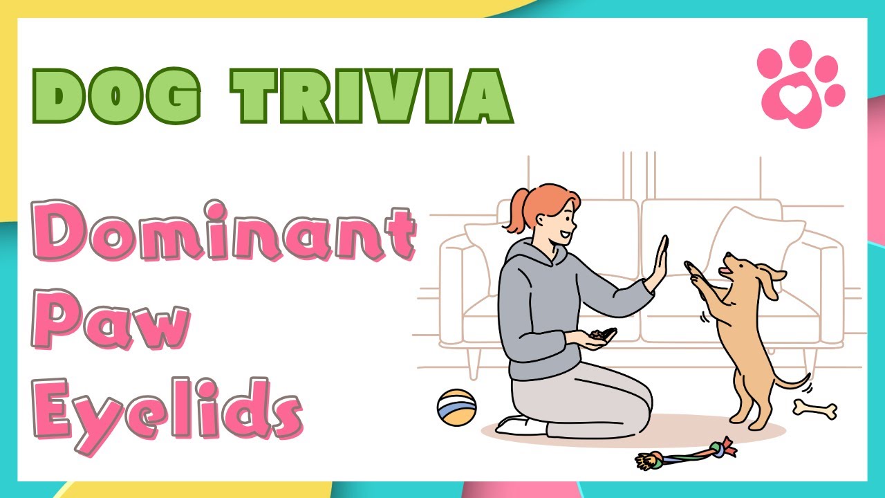 Amazing Dog Trivia: Dominant Paw, Taste, Eyelids, and Sleep Psychology ...