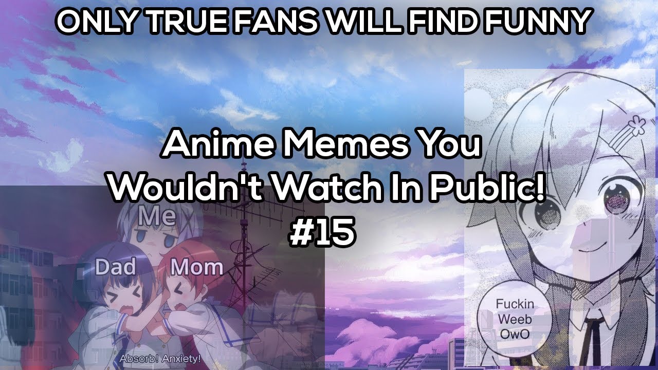 Anime Memes You Wouldn't Watch In Public! #15 - YouTube