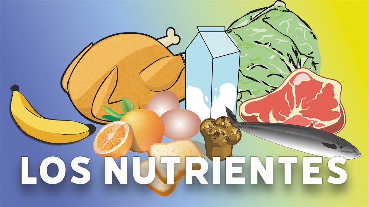 #videolección: Los nutrientes. 3eso - YouTube