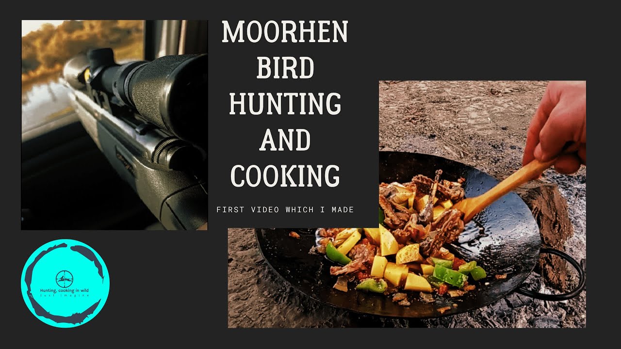 Moorhen hunting and cooking - YouTube