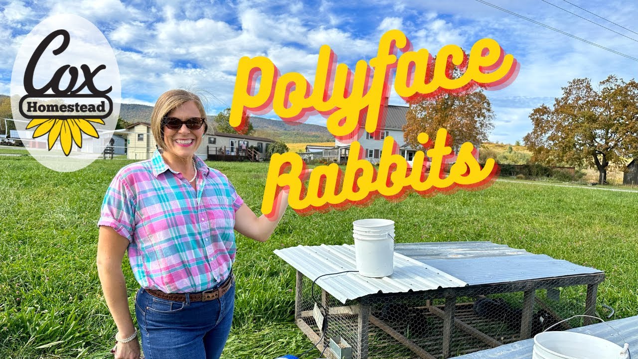 Polyface Rabbits: We bought new rabbits. My first thoughts on Polyface ...