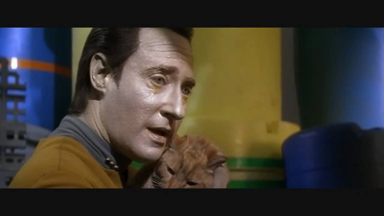 Data finds spot - YouTube