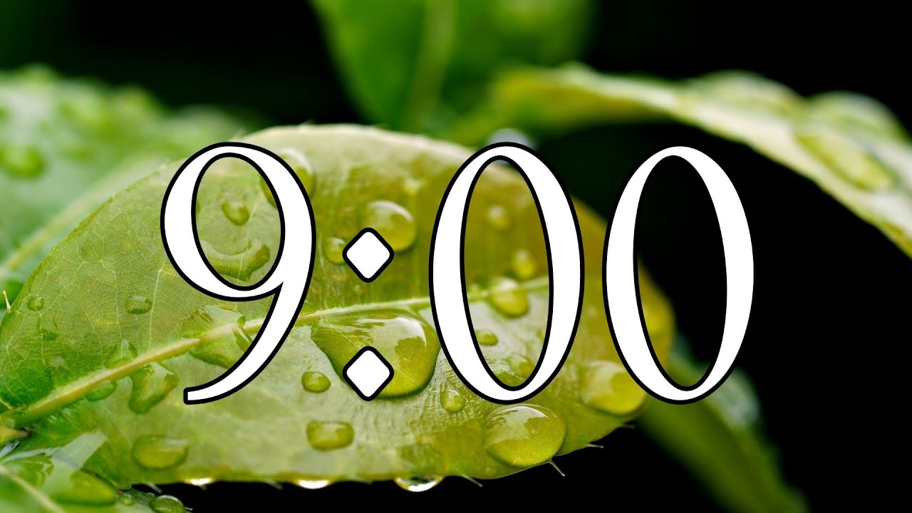 9 Minute Timer | Earth Day | NO Music - YouTube