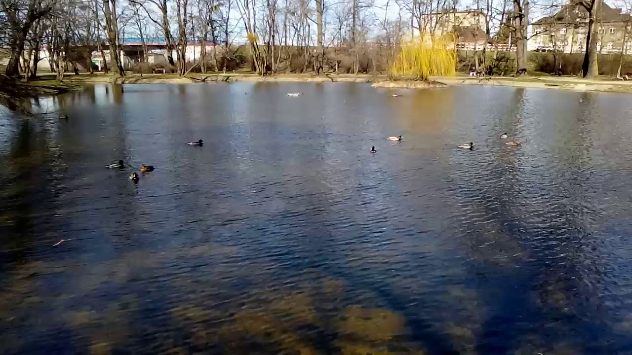 RELAKS i Odpoczynek - YouTube
