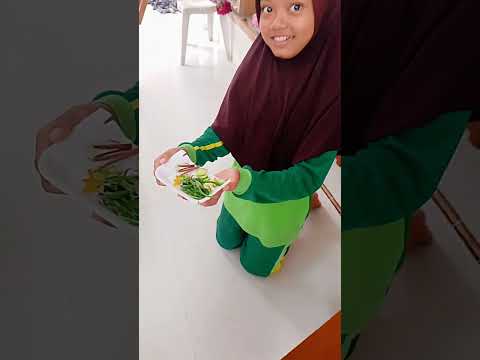 Mainan Pasar-pasaran Anak-anak Cewek - YouTube