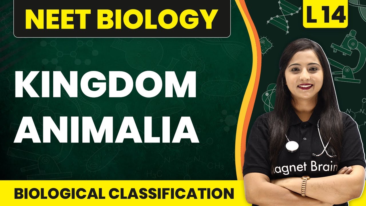 Kingdom Animalia | Biological Classification - L14 (Concepts) | NEET ...