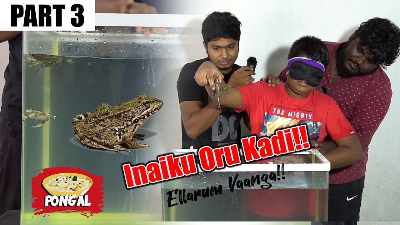Inaiku Oru Kadi! Ellarum Vaanga!😂 | Underwater Challenge part 3 | # ...