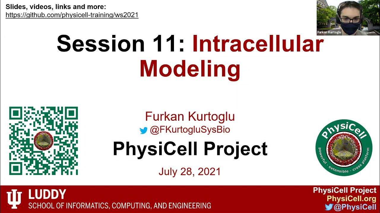 PhysiCell ws2021 Session 11: Intracellular Modeling (Part 1) - YouTube