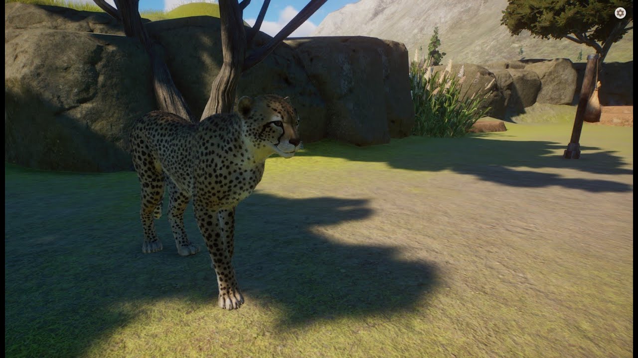 Planet Zoo: Cheetah Habitat - YouTube